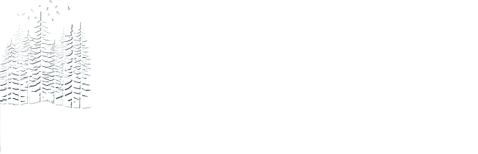 Do Raccoons Have Rabies? (3 Signs That A Raccoon Has Rabies) - Wildlife ...